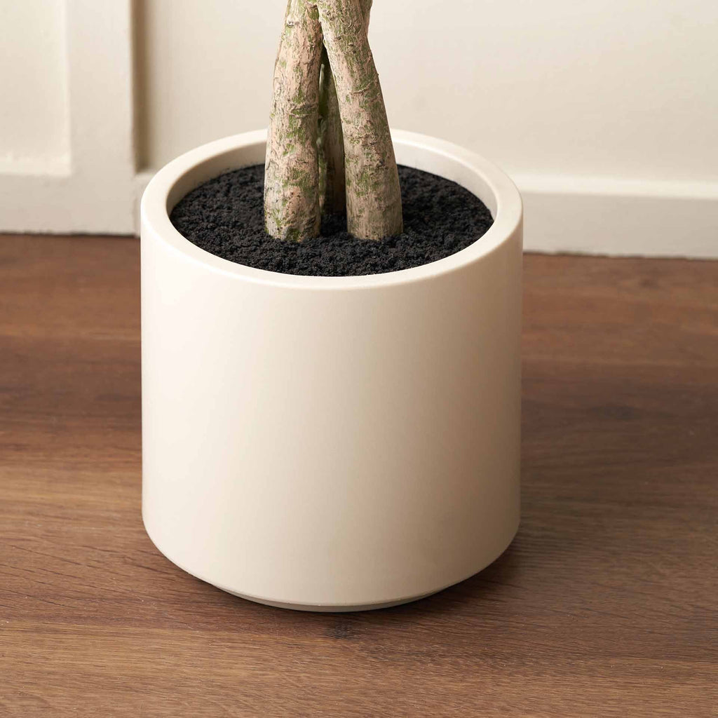 Bay Tree in Neutral Pot Medium | Faux Plants, Trees and Stems
